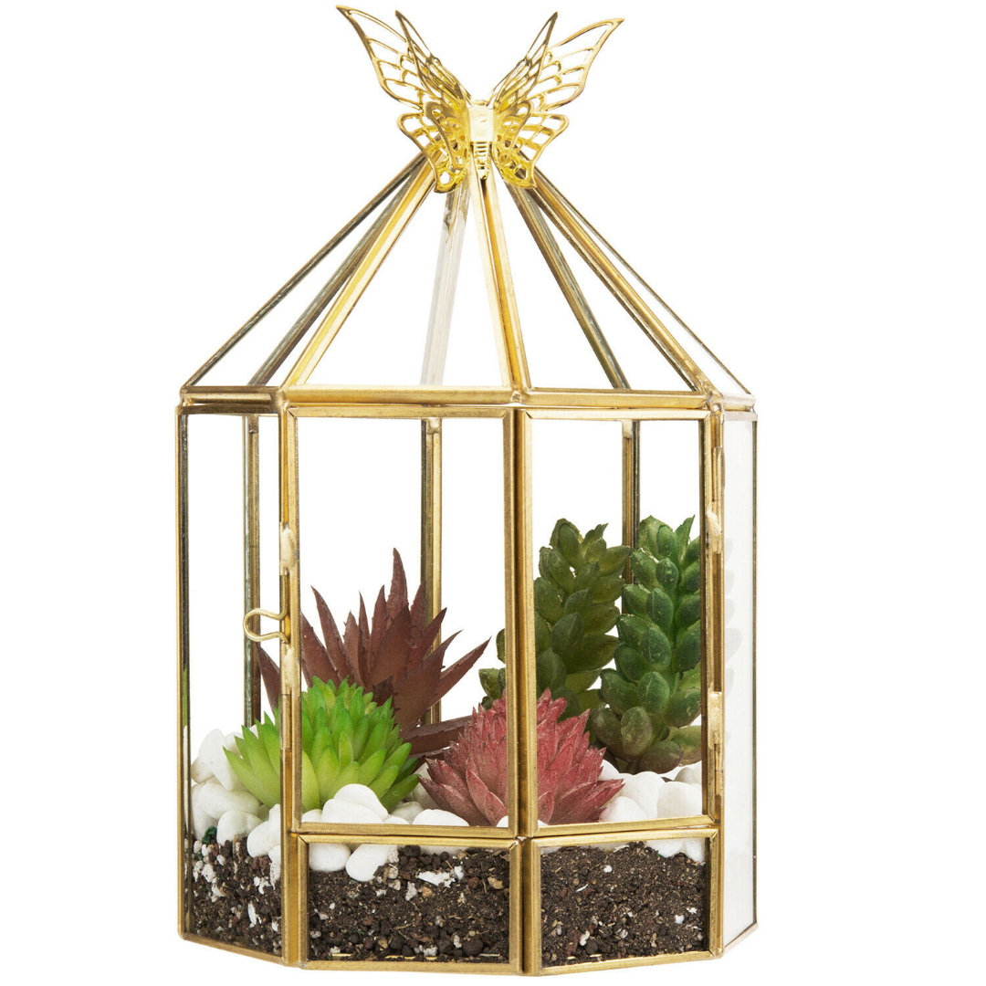 Hexagonal Closed Indoor Glass Plant Standing Terrarium – Westfield ...